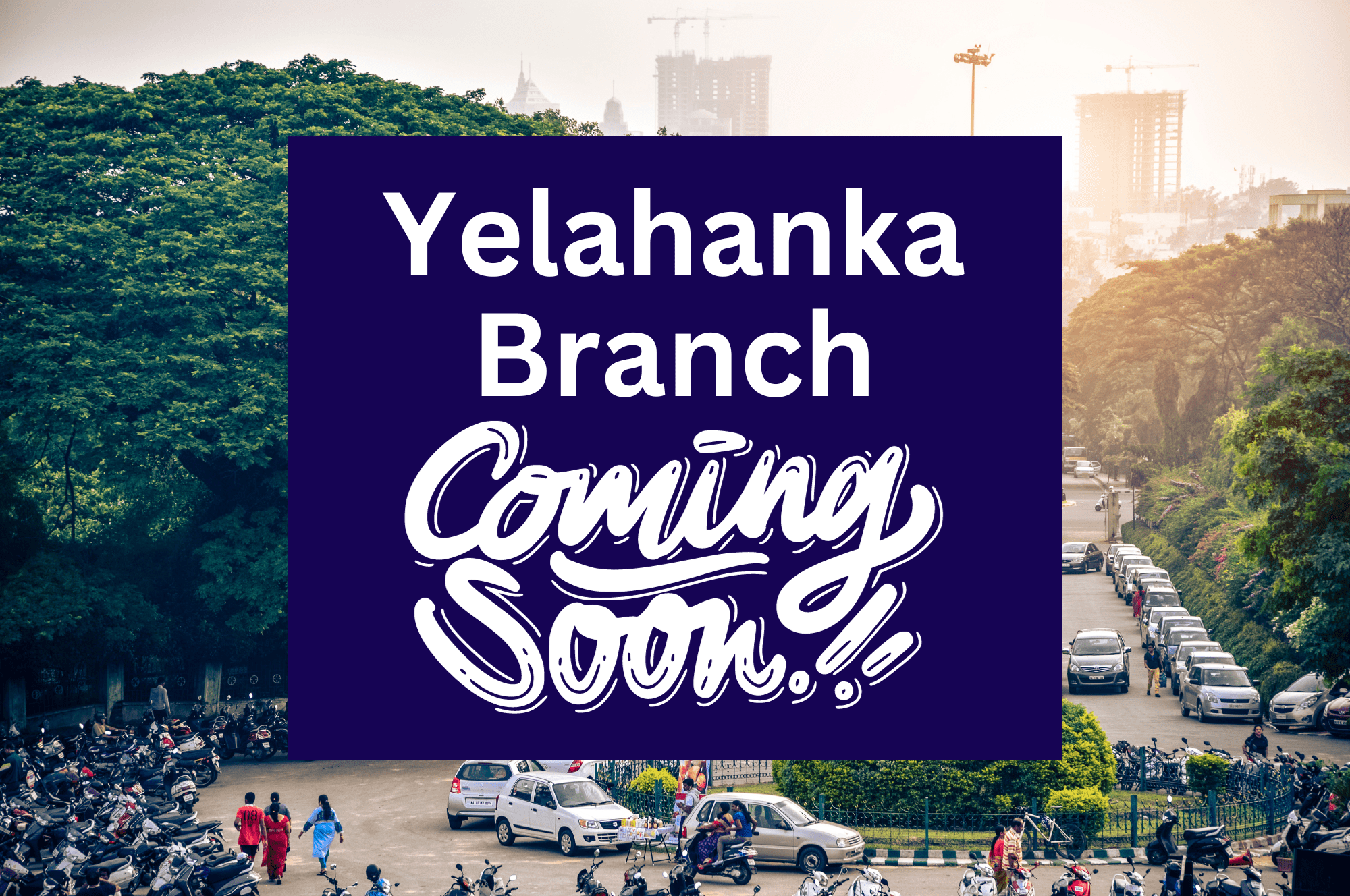Our Branches - Learning Lab