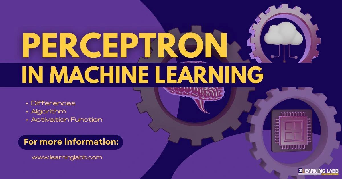 The Perceptron Algorithm in Machine Learning